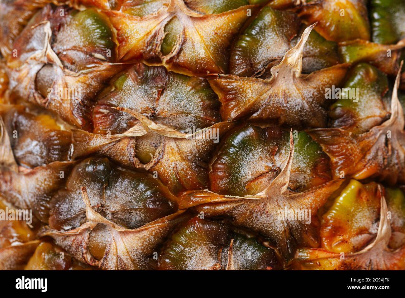 Green skin fruit pineapple texture hi-res stock photography and images ...