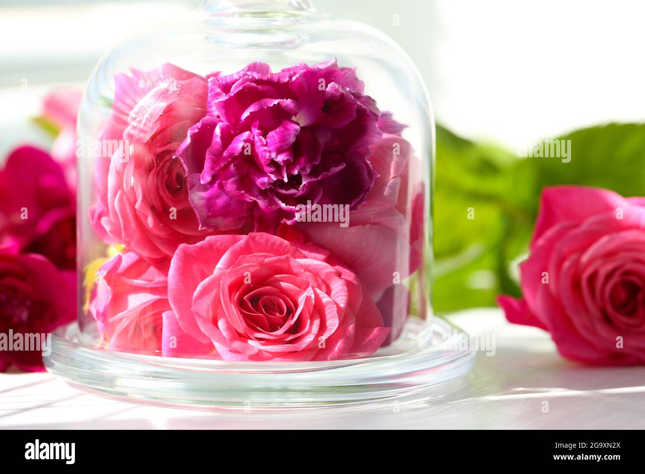 Beautiful composition with flowers on light background Stock Photo - Alamy