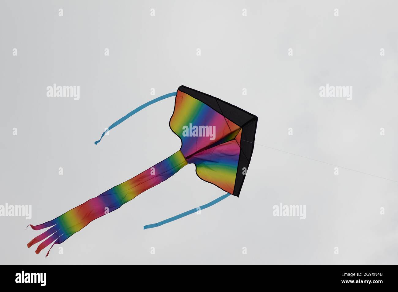 Kite seen flying in summer 2021 Stock Photo - Alamy
