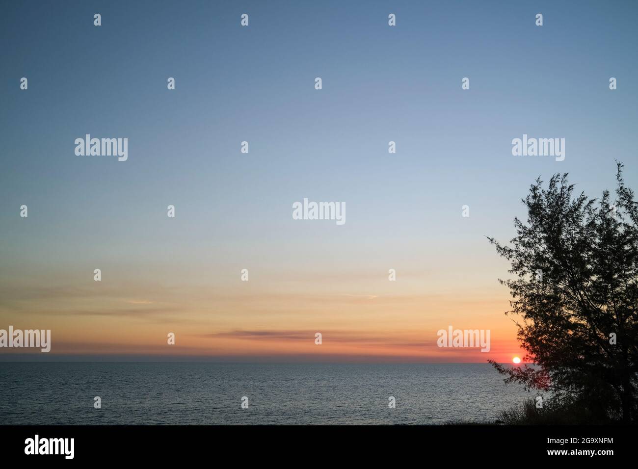 Tree over water hi-res stock photography and images - Alamy