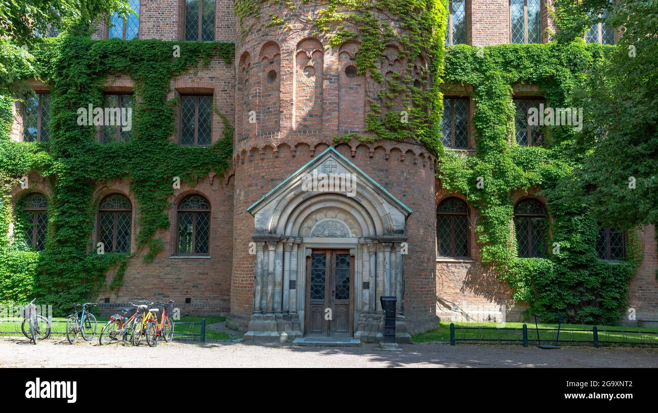 Medieval building Kings house overgrown in the park Lundagard in Lund ...
