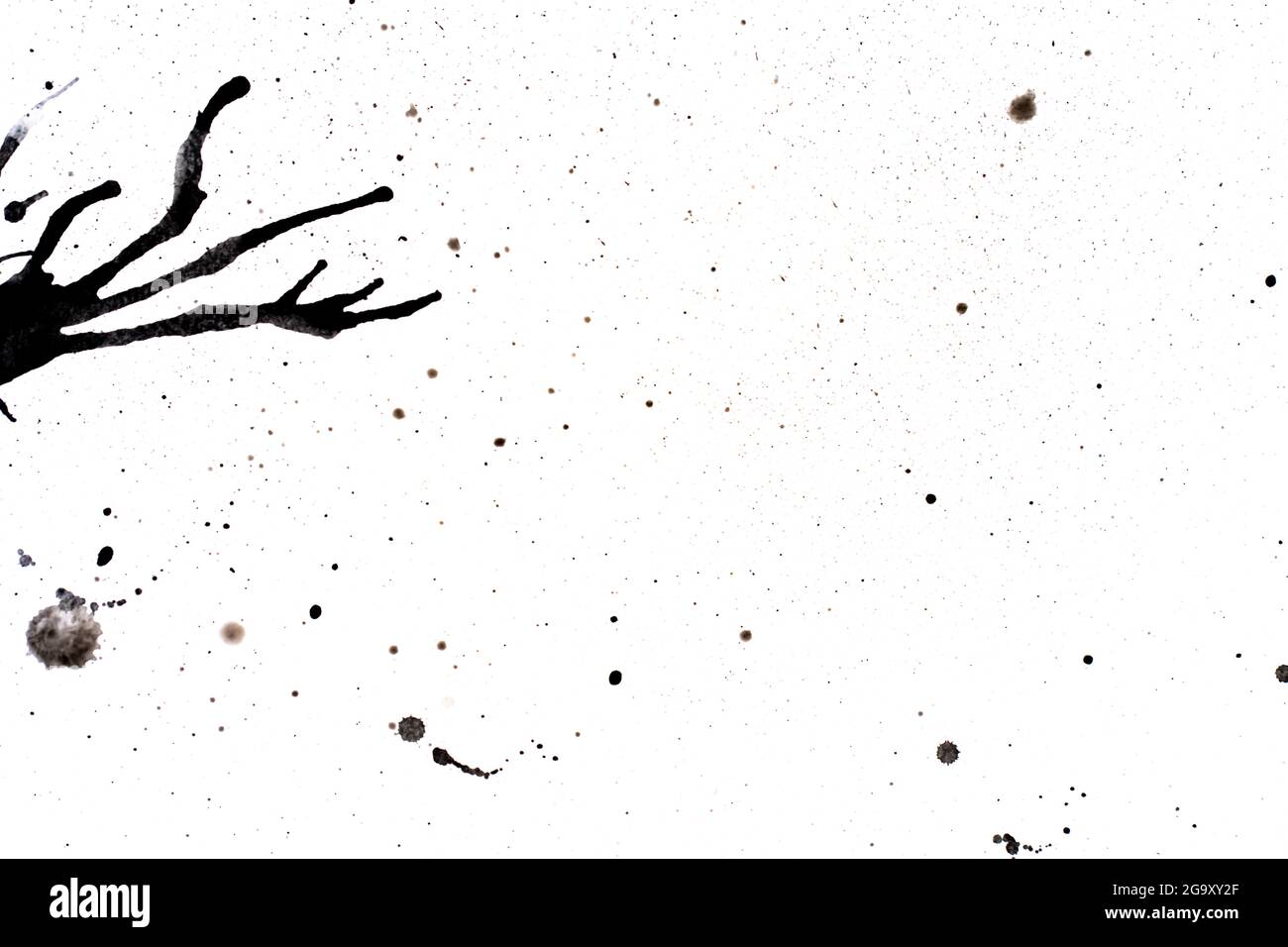 Messy black ink scattered on a white surface with copy space Stock ...