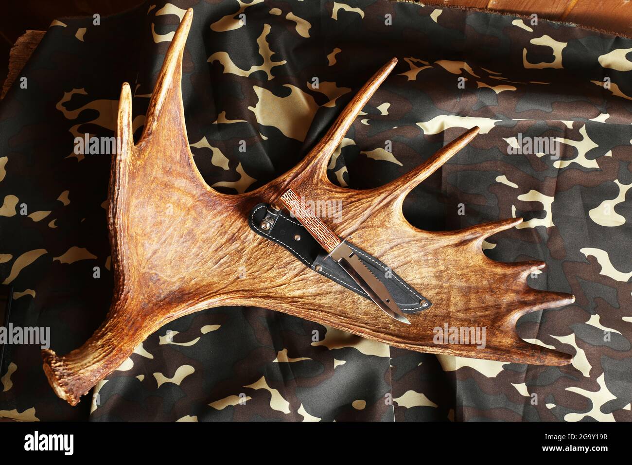 Moose antler with hunting knives on military fabric background Stock ...