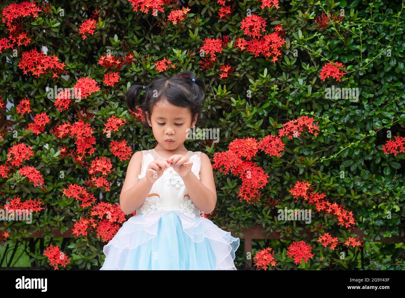 Cute Southeast Asian child girl with white dress playing with a flower ...