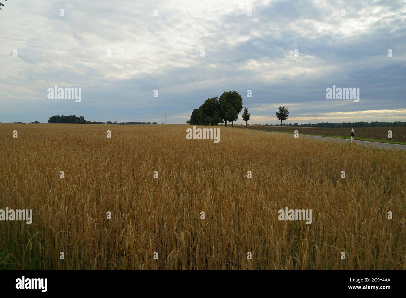 Lusatia summer hi-res stock photography and images - Alamy