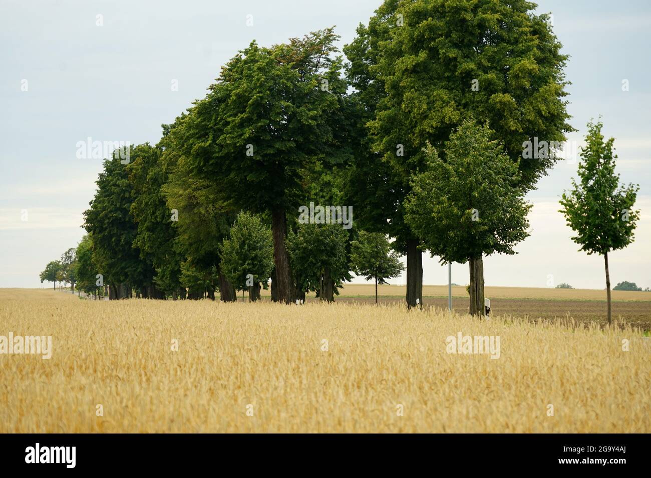 Landscapes in Lusatia, a region in the south of Brandenburg on the ...