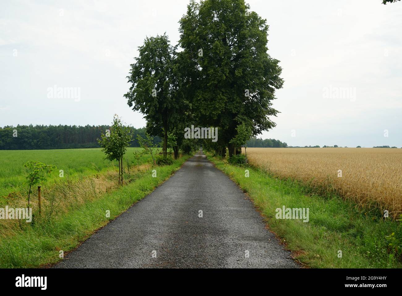 Landscapes in Lusatia, a region in the south of Brandenburg on the ...