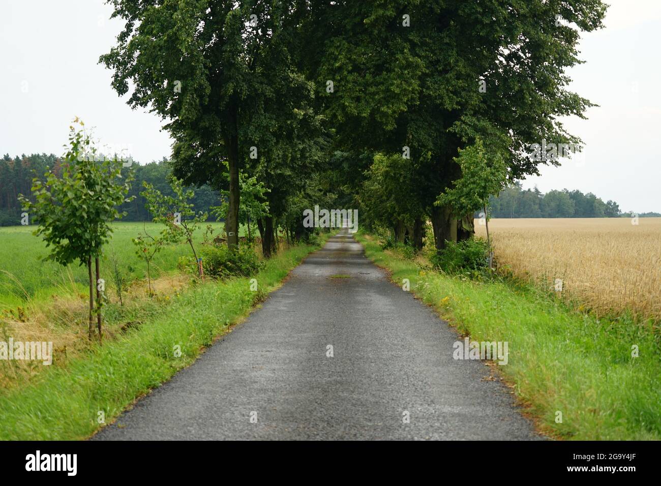 Landscapes in Lusatia, a region in the south of Brandenburg on the ...