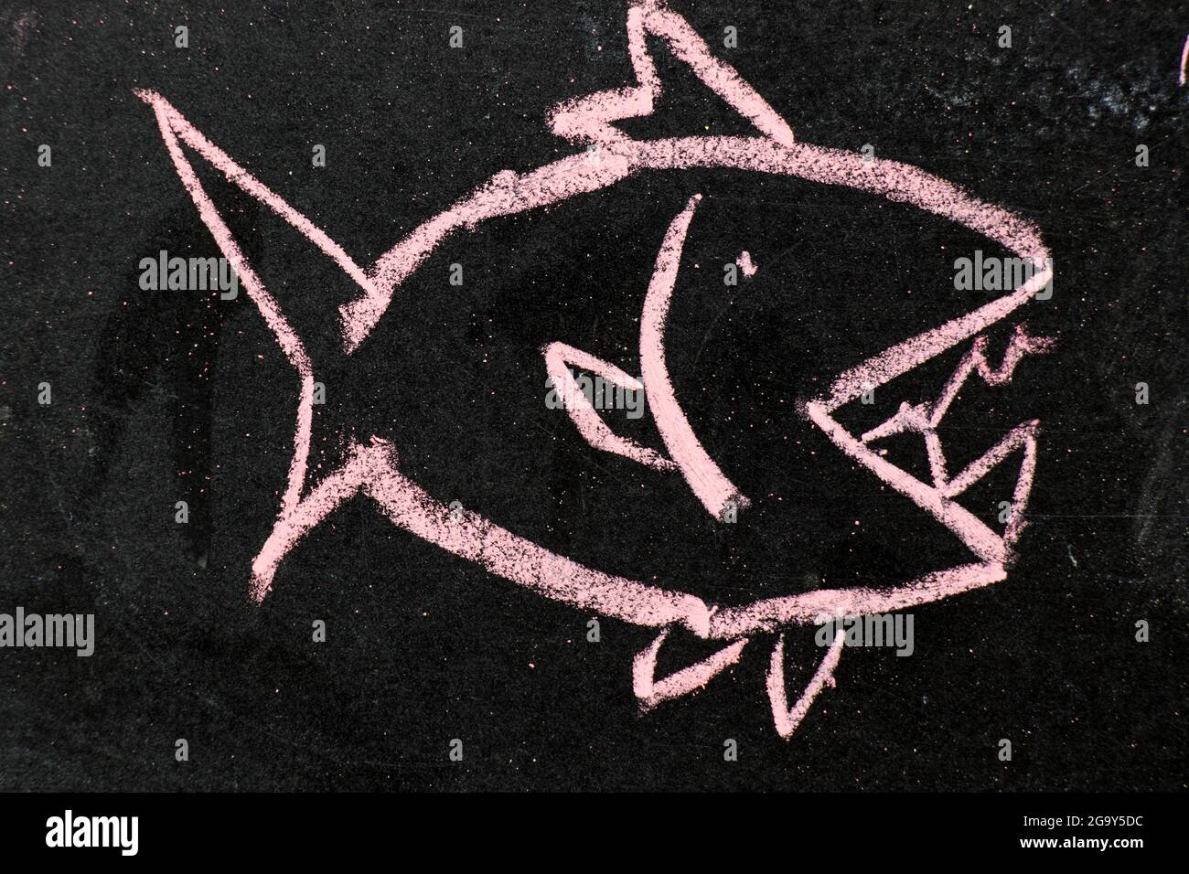 CHalk hand drawing as fish shape on black board background Stock Photo ...