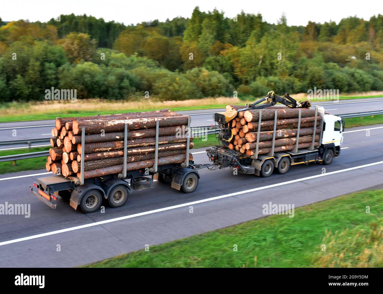Timber truck transporting cut trees from forest along highway ...