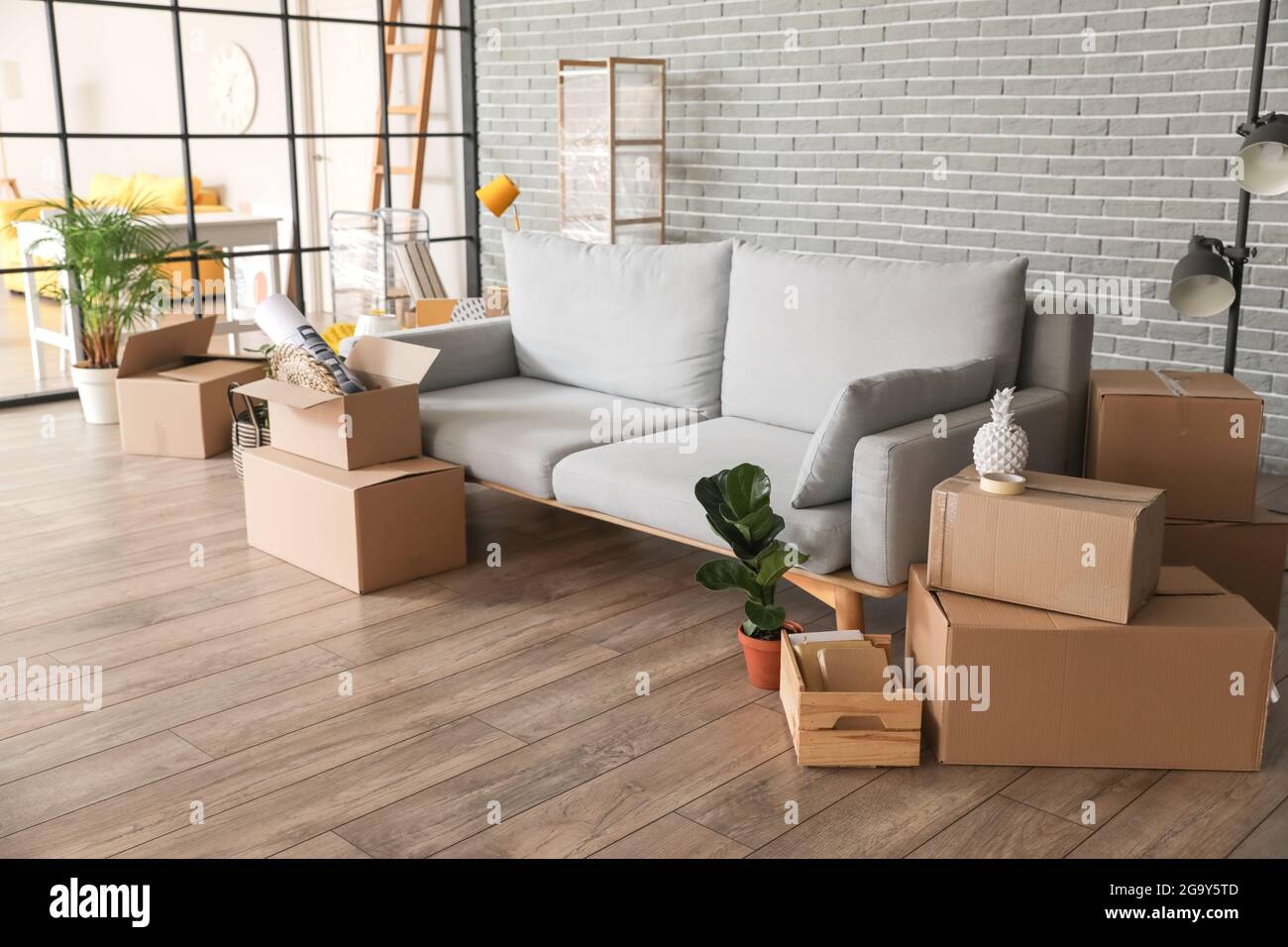 Cardboard boxes with belongings and sofa in room on moving day Stock ...
