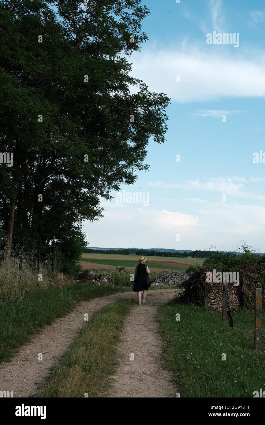 Rear view of a woman walking along a footpath in countryside in summer ...