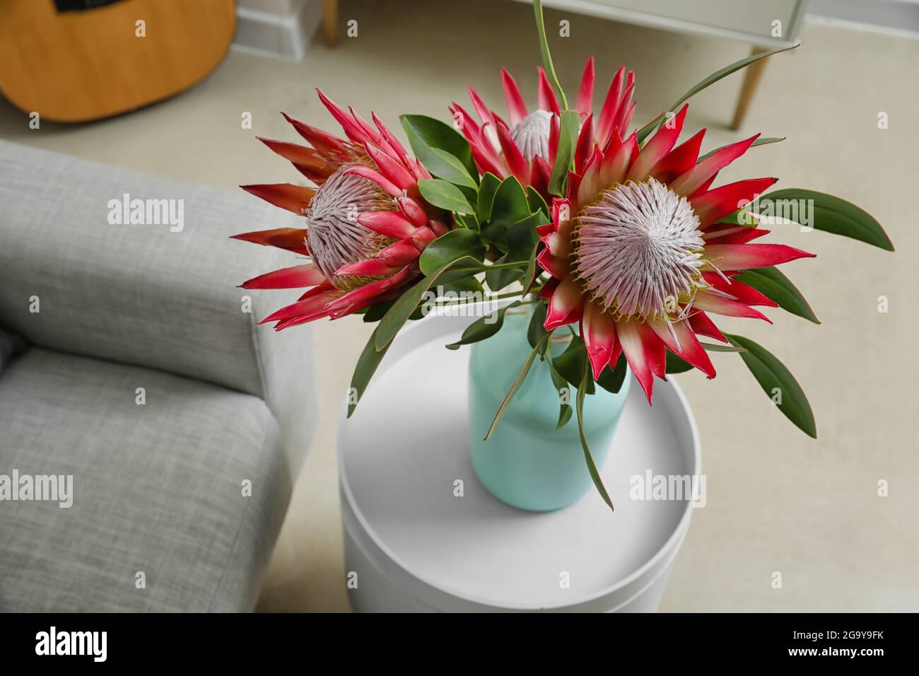 Protea flowers bloom table hi-res stock photography and images - Alamy