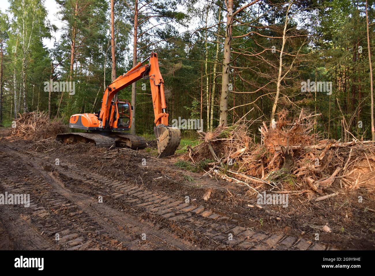Excavator clearing forest for new development. Orange Backhoe modified ...