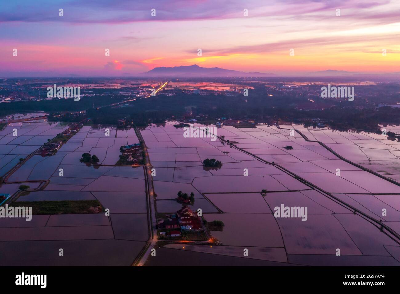Aerial view of flooded paddy fields at sunset, Malaysia Stock Photo - Alamy