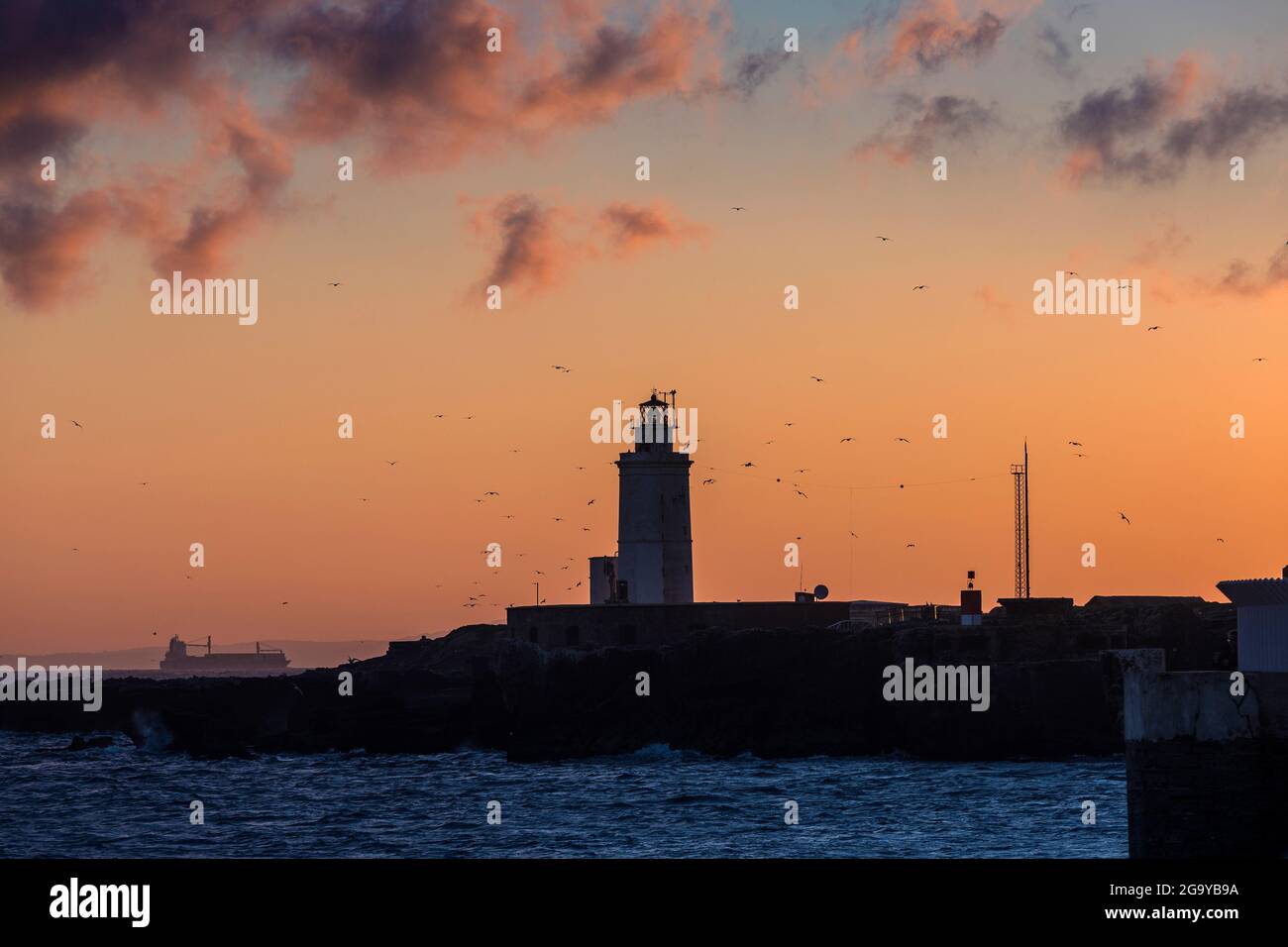 Birds flying around a lighthouse hi-res stock photography and images ...