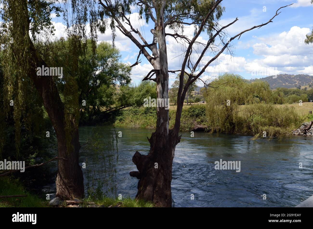 TUMUT, AUSTRALIA - Dec 30, 2020: A view of the Tumut River in the Snowy ...