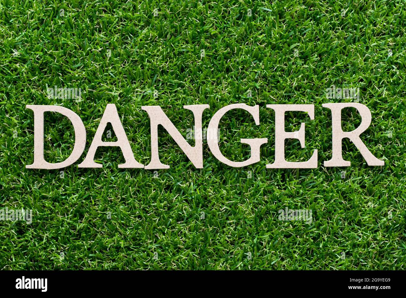 Wood alphabet in word danger on artificial green grass background Stock ...