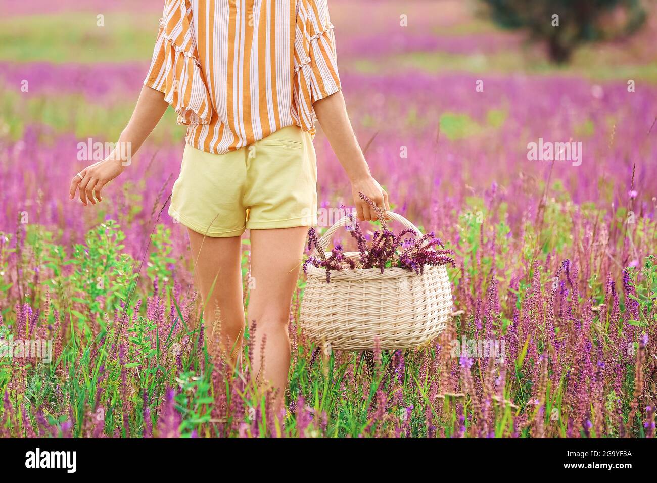 Beautiful young woman with flowers in basket on summer day Stock Photo ...