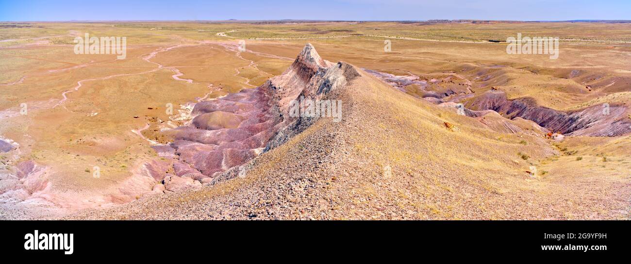 Summit of the Purple Peninsula North View, Petrified Forest National ...
