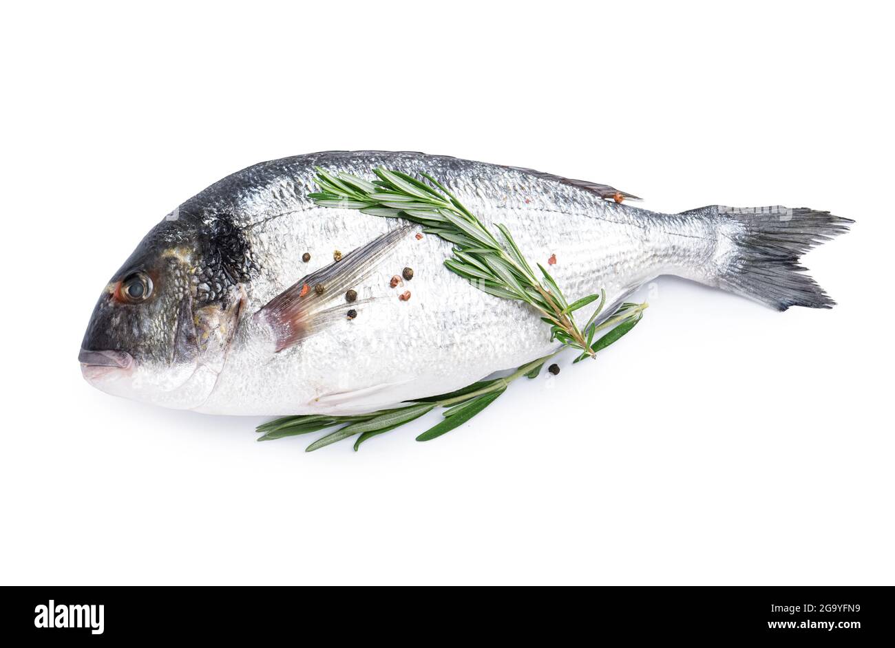 Raw dorado fish on white background Stock Photo - Alamy