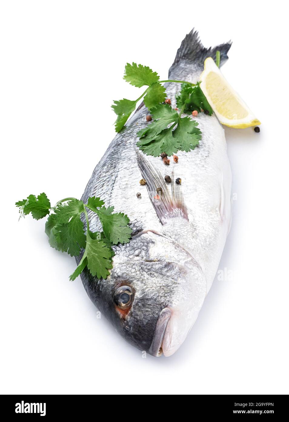 Raw dorado fish on white background Stock Photo - Alamy