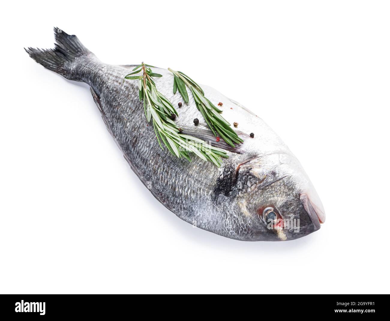 Raw dorado fish on white background Stock Photo - Alamy
