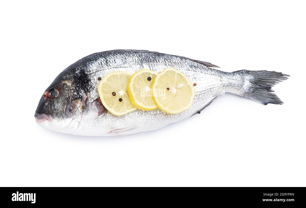 Raw dorado fish on white background Stock Photo - Alamy