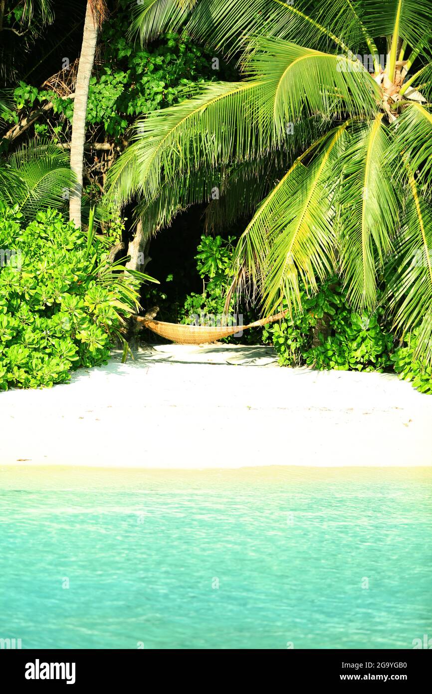 Beautiful view of coast with exotic trees in resort Stock Photo - Alamy