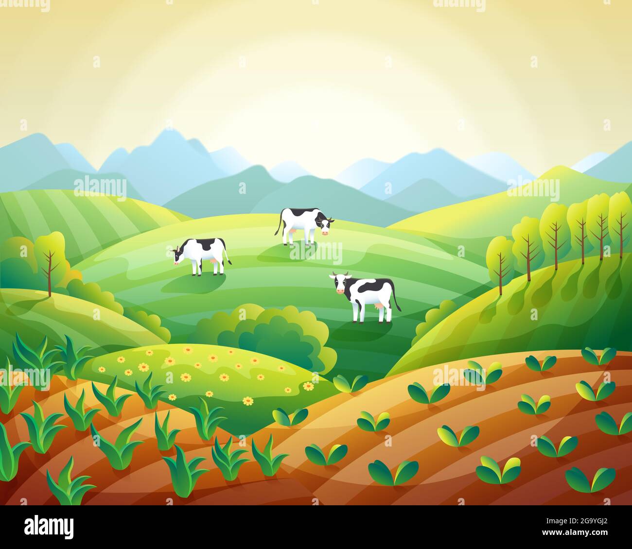 Colorful farm summer landscape, sunrise clear sky with cows on field ...