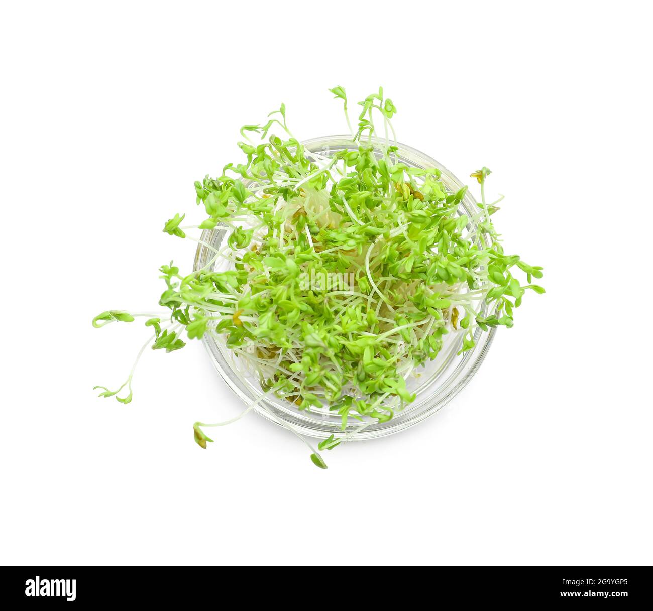 Fresh micro green on white background Stock Photo - Alamy
