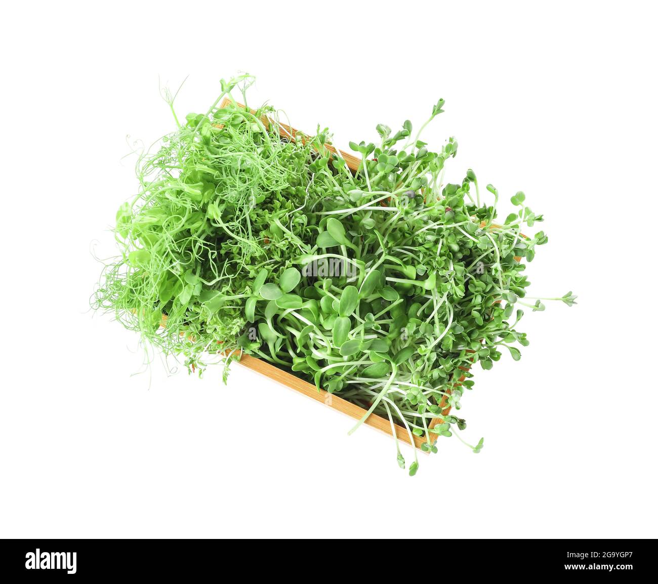 Fresh micro green on white background Stock Photo - Alamy