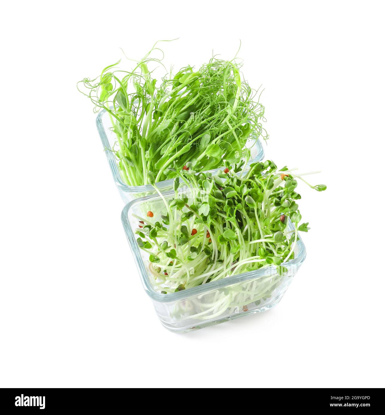 Fresh micro green on white background Stock Photo - Alamy