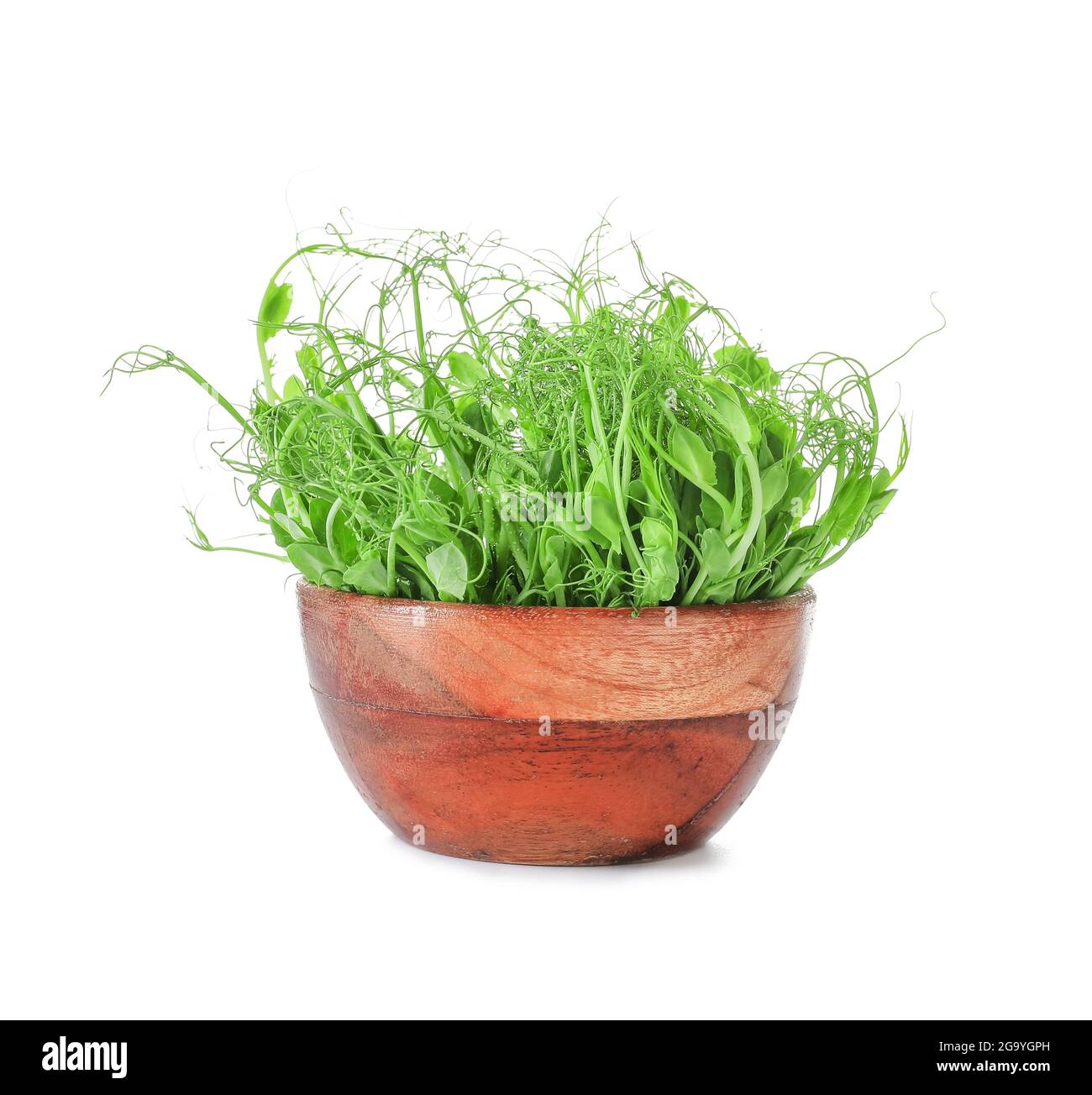 Green sprouts edible plants Cut Out Stock Images & Pictures - Alamy