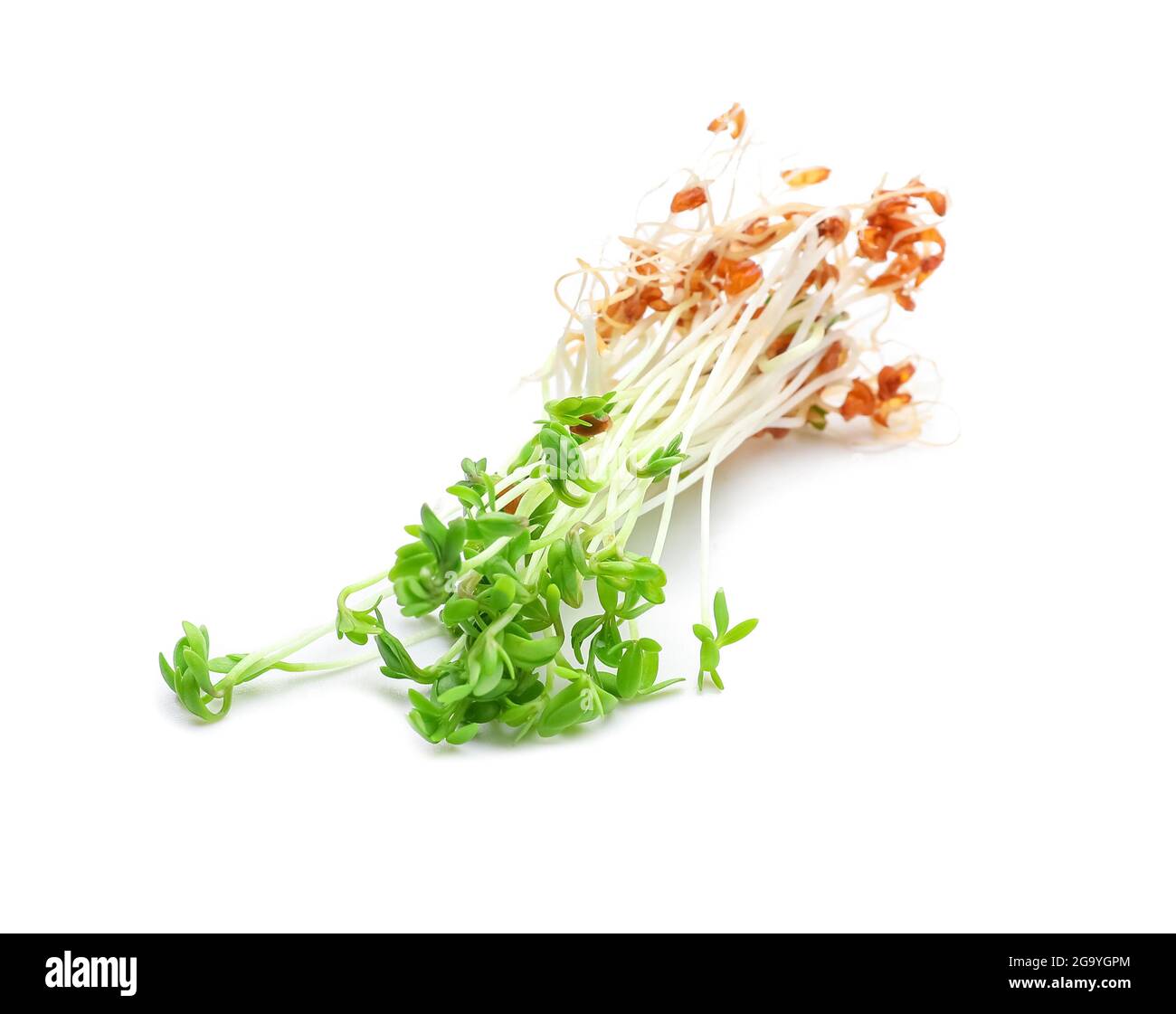 Micro gardening Cut Out Stock Images & Pictures - Alamy