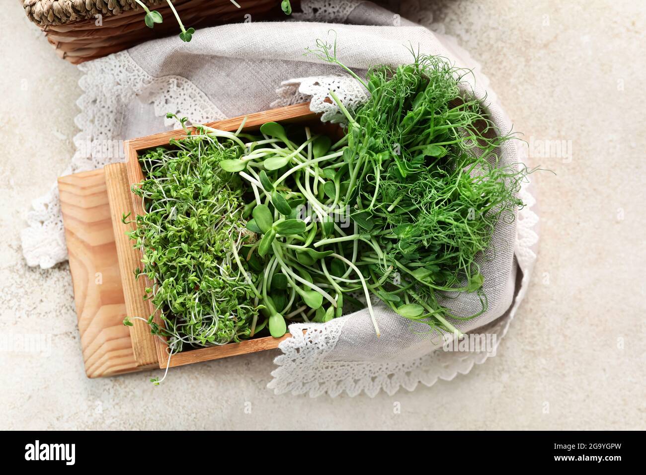 Wooden box with different fresh micro green on light background Stock ...