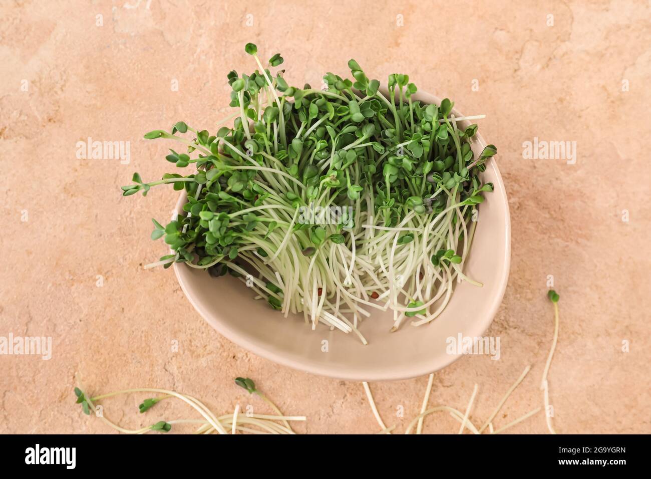Bowl with fresh micro green on color background Stock Photo - Alamy
