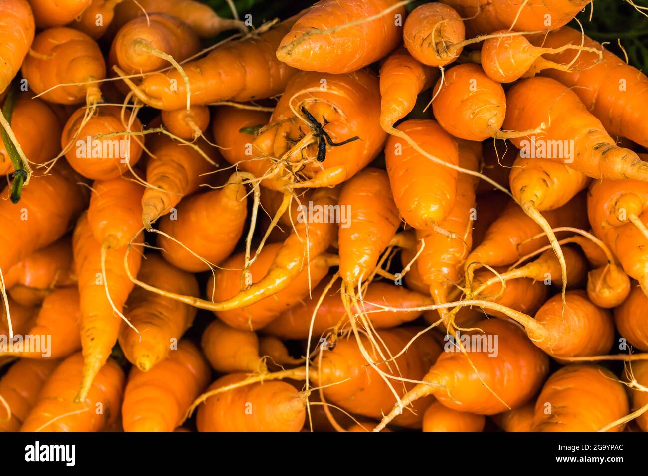 Carrot stall hi-res stock photography and images - Alamy