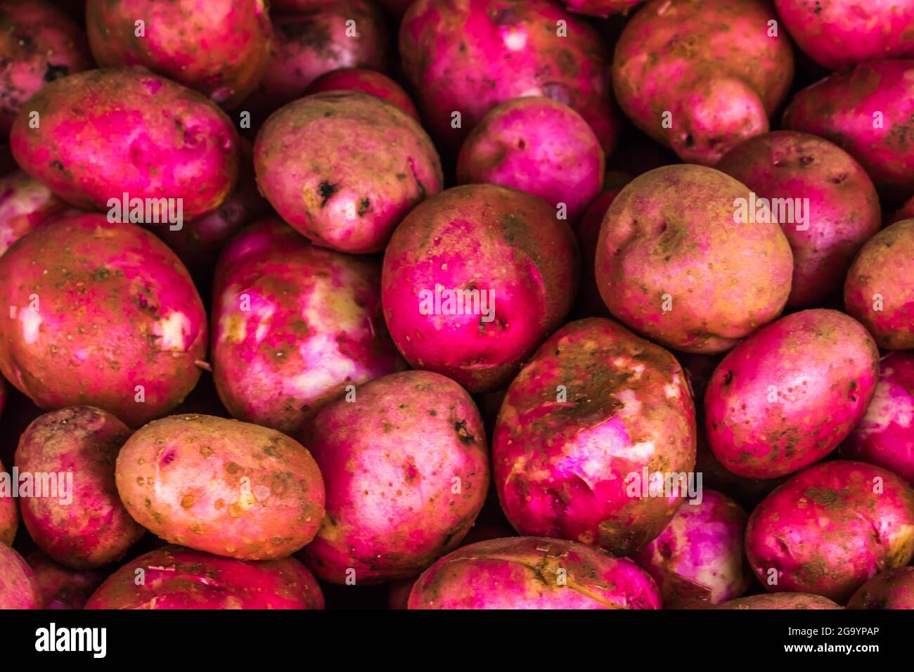 ‘all red’ potato hi-res stock photography and images - Alamy