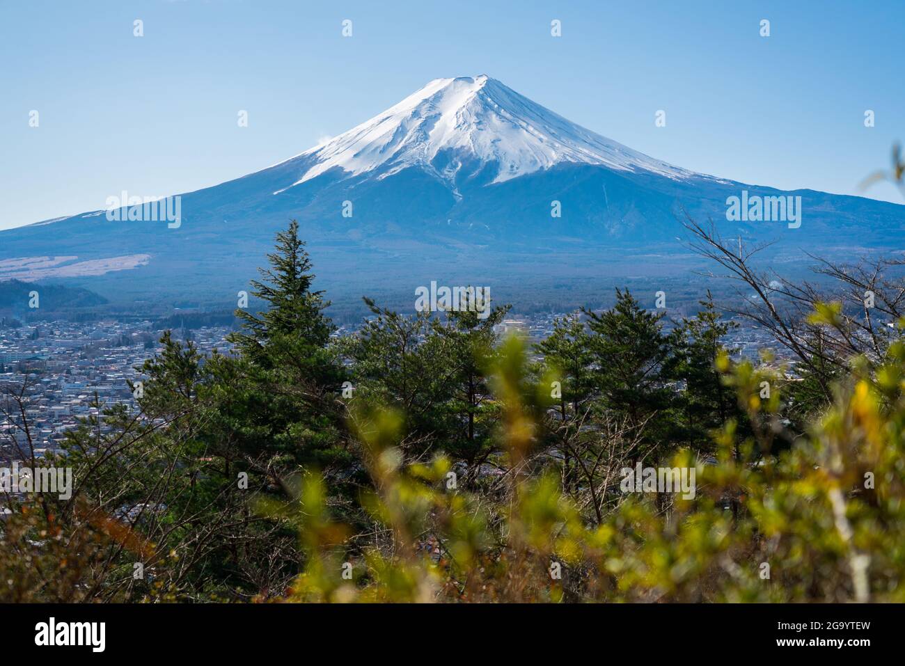 Mount Fuji with green bushes in foreground. View from Arakurayama ...