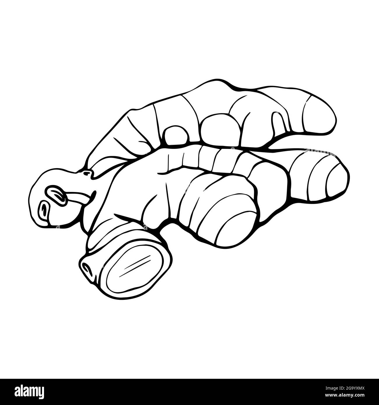 Immunity drawing hi-res stock photography and images - Alamy