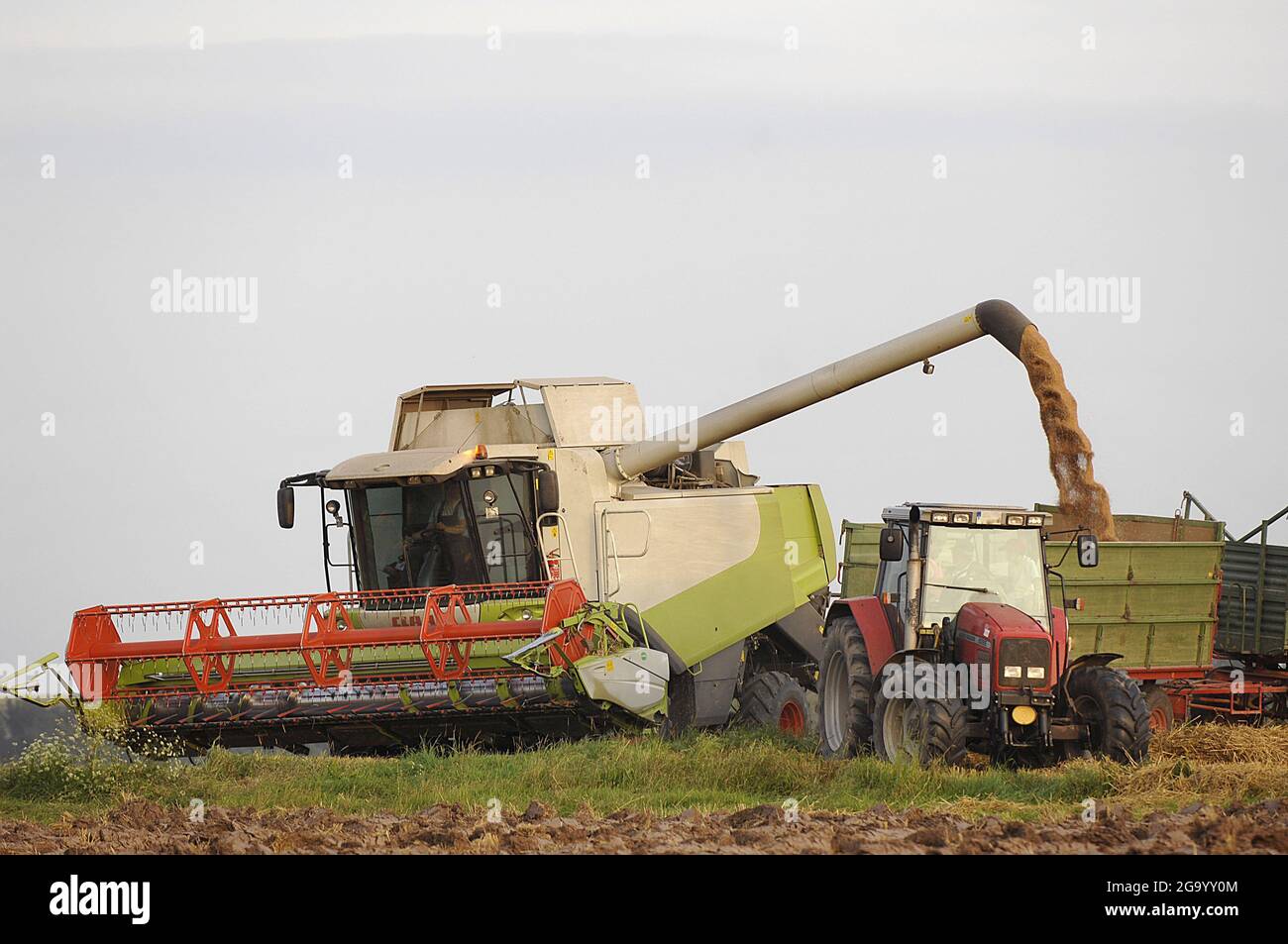 combine harvester loads a tractor with the crop, Germany Stock Photo ...