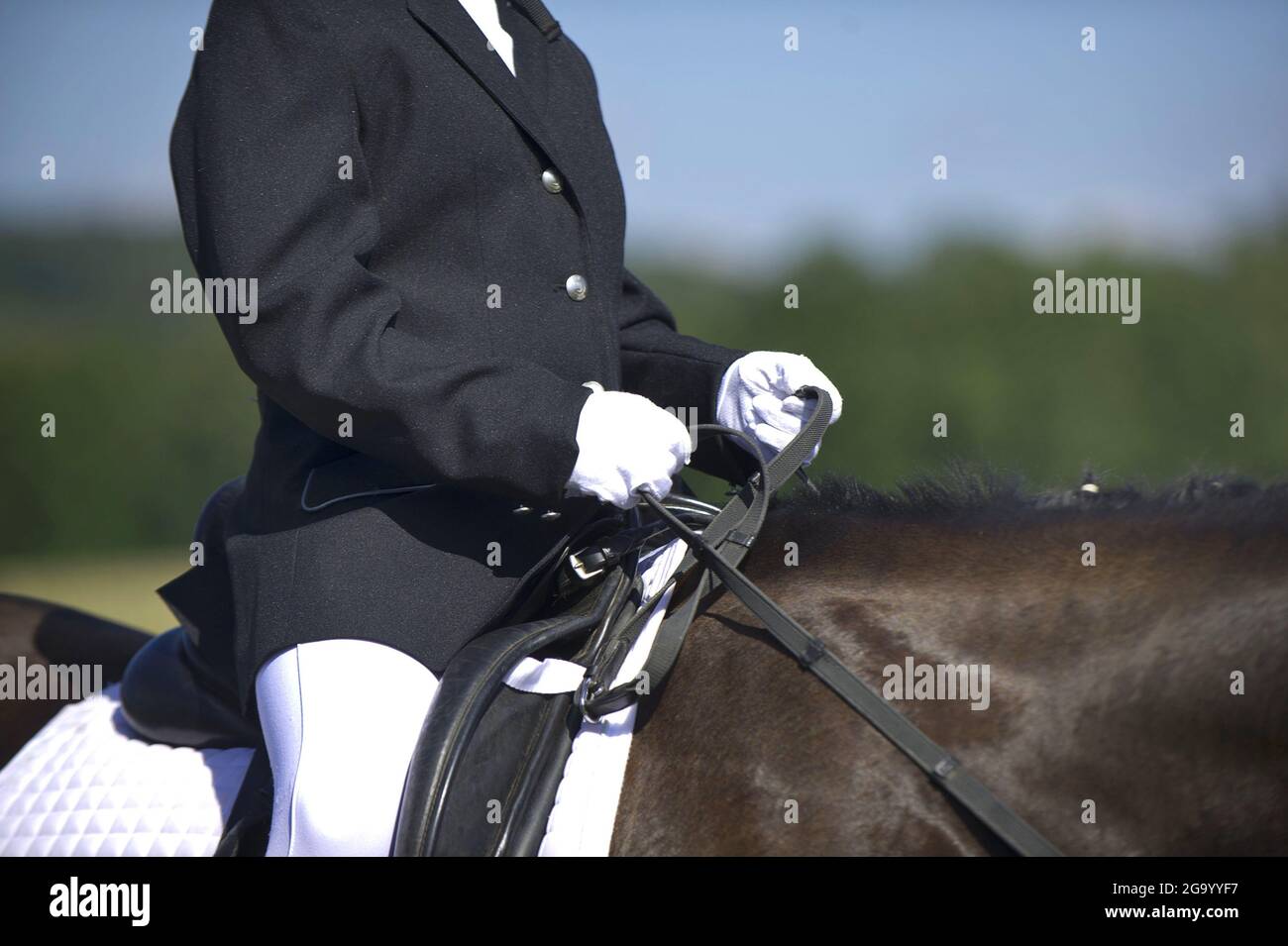domestic horse (Equus przewalskii f. caballus), rider sitting in the ...