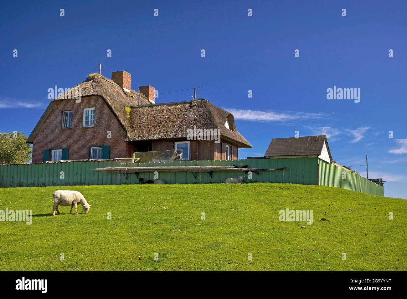 Hallig Suedfall, Germany, Europe, Germany, Schleswig-Holstein Stock ...