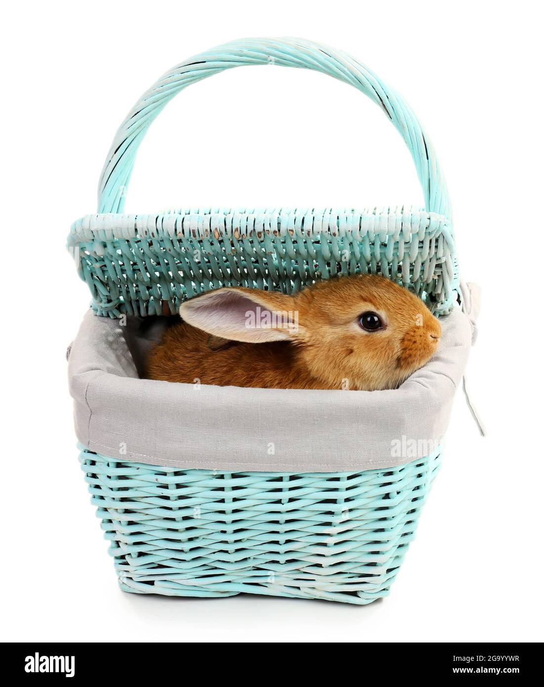 Cute brown rabbit in color wicker basket isolated on white Stock Photo ...