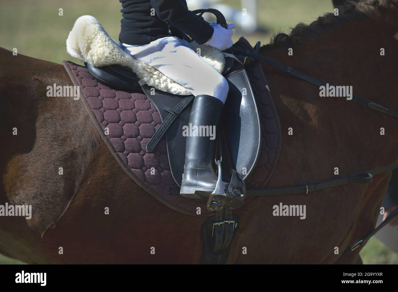 Side saddle horse rider hi-res stock photography and images - Alamy