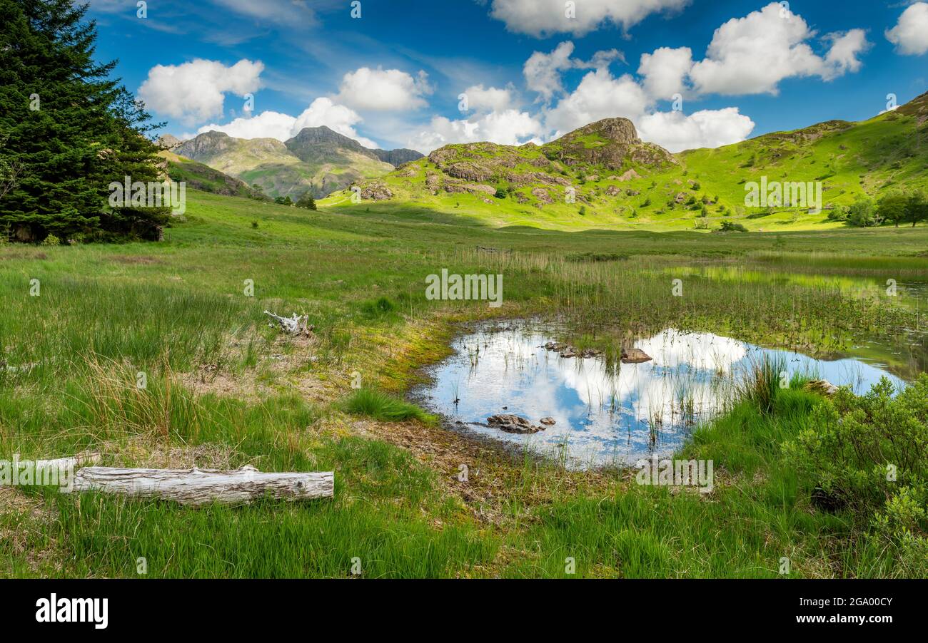Blea tarn, Langdale Pikes, Side pike, Lake district national park ...