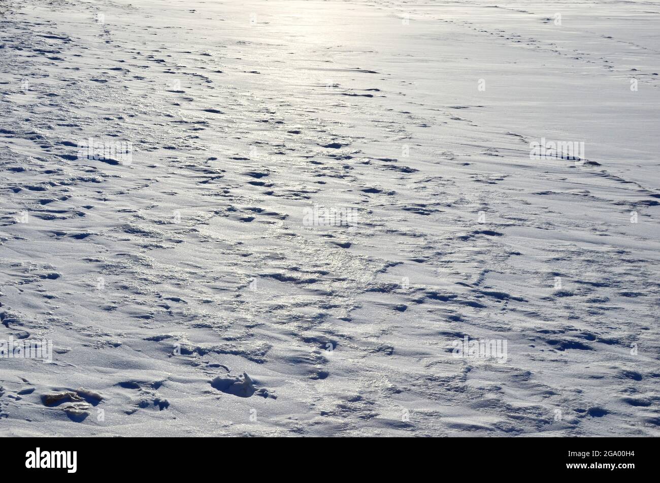 Structure of snow and ice on frozen lake. Winter landscape concept ...