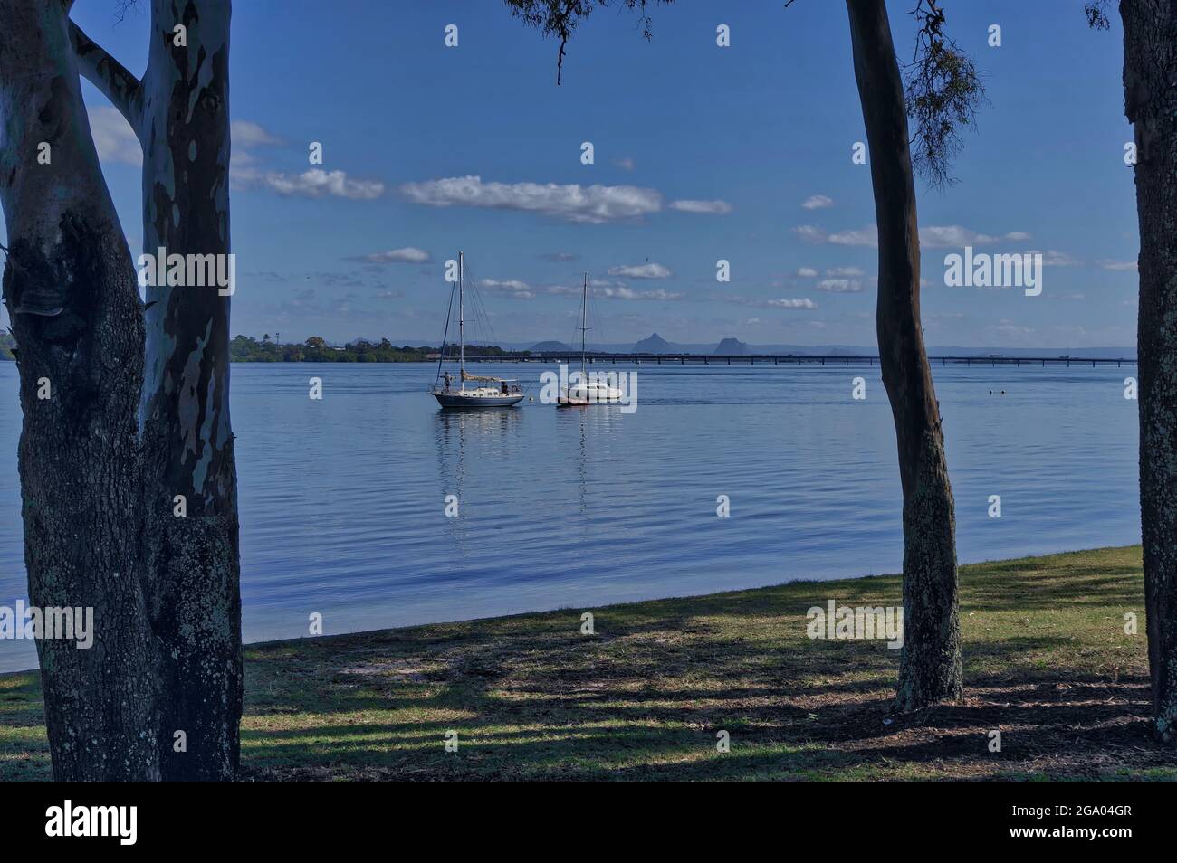 Trees with boats hi-res stock photography and images - Alamy
