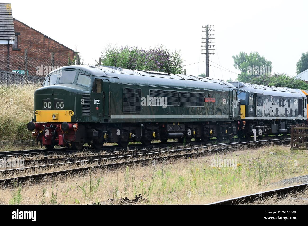 D123 class 45 diesel locomotive Stock Photo - Alamy